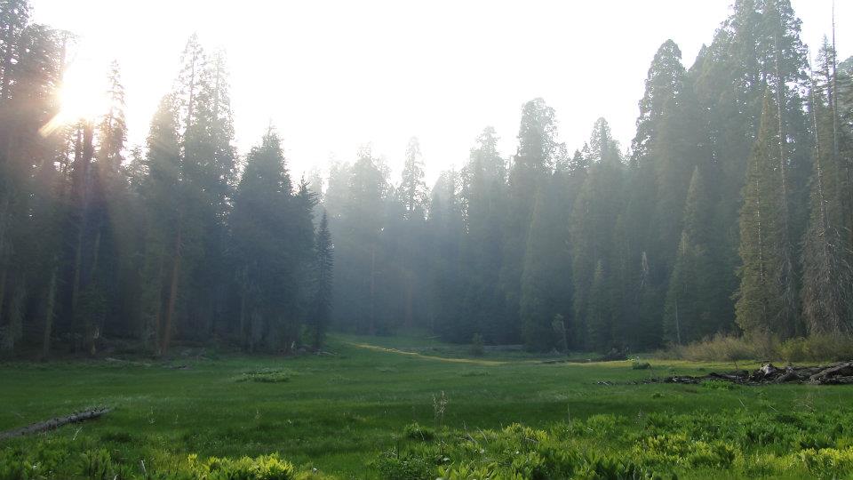Crescent Meadow – Sequoia National Park – scott turner hikes