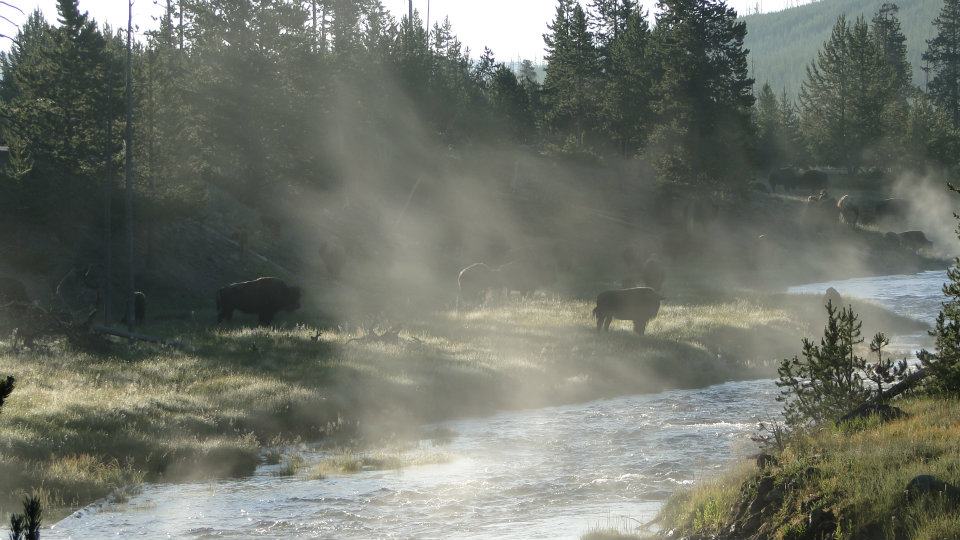 Yellowstone: Norris Geyser Basin – scott turner hikes