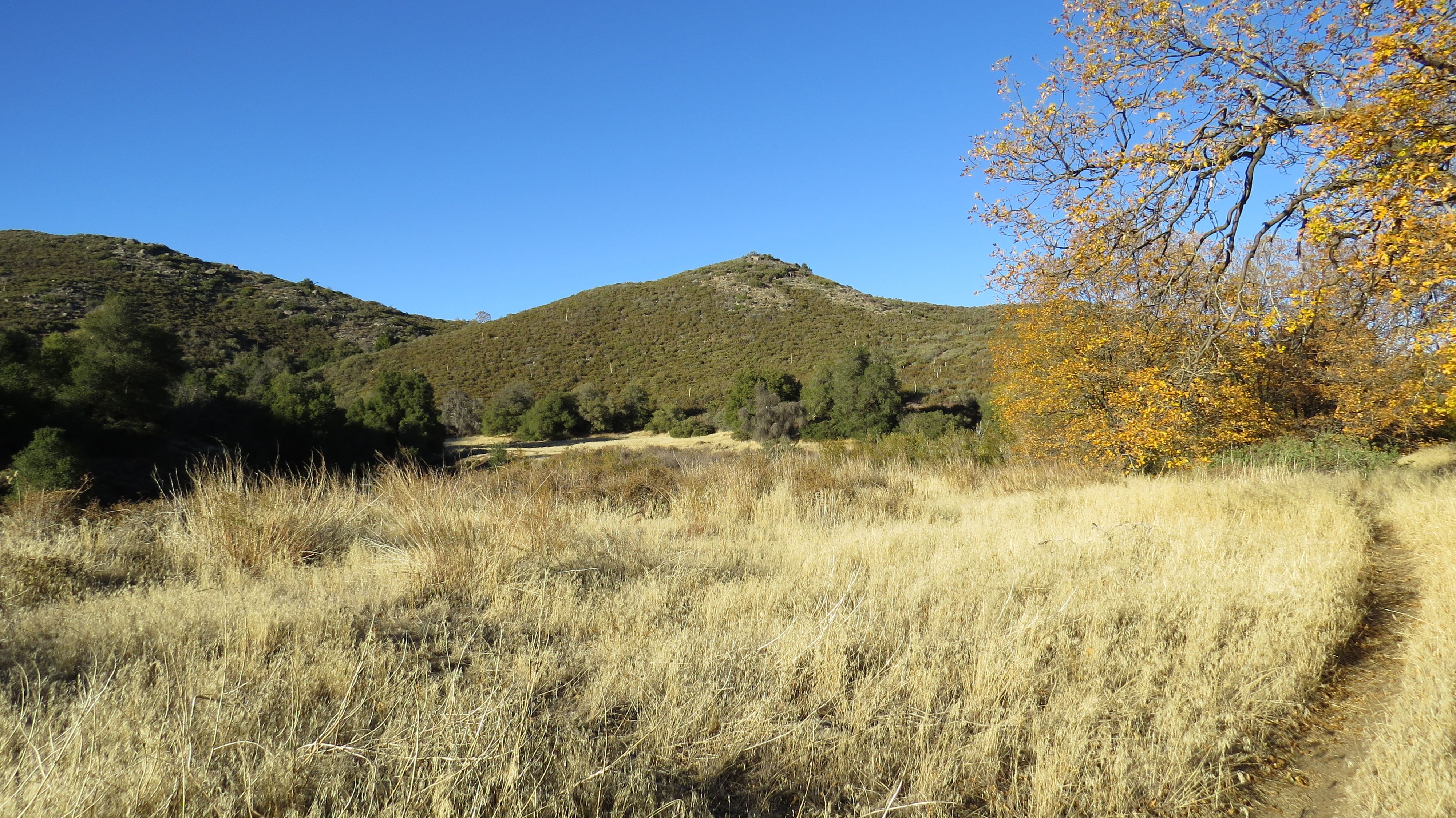 Trip Report: Long Canyon and Desert View – scott turner hikes