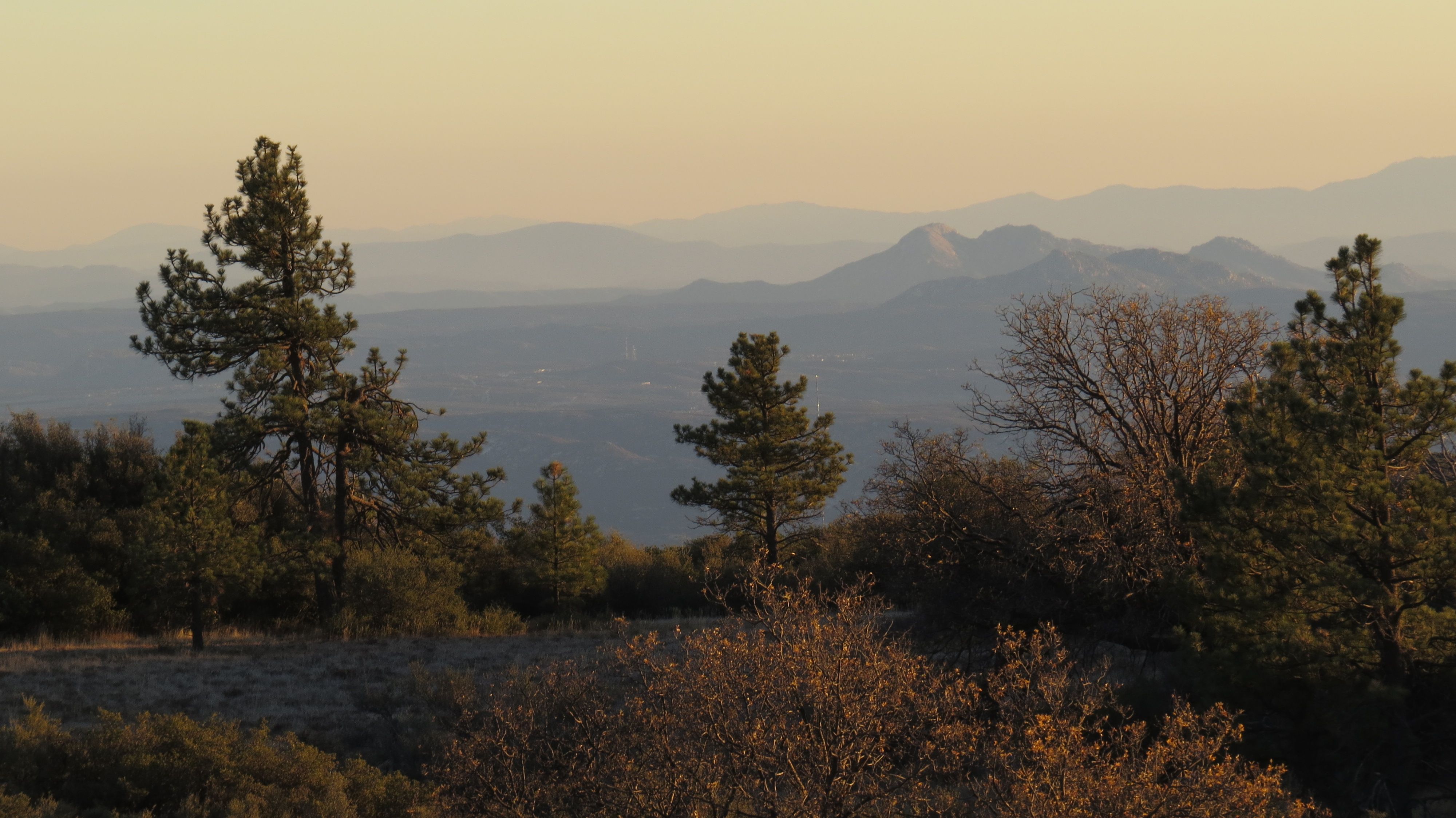 Trip Report: Long Canyon and Desert View – scott turner hikes